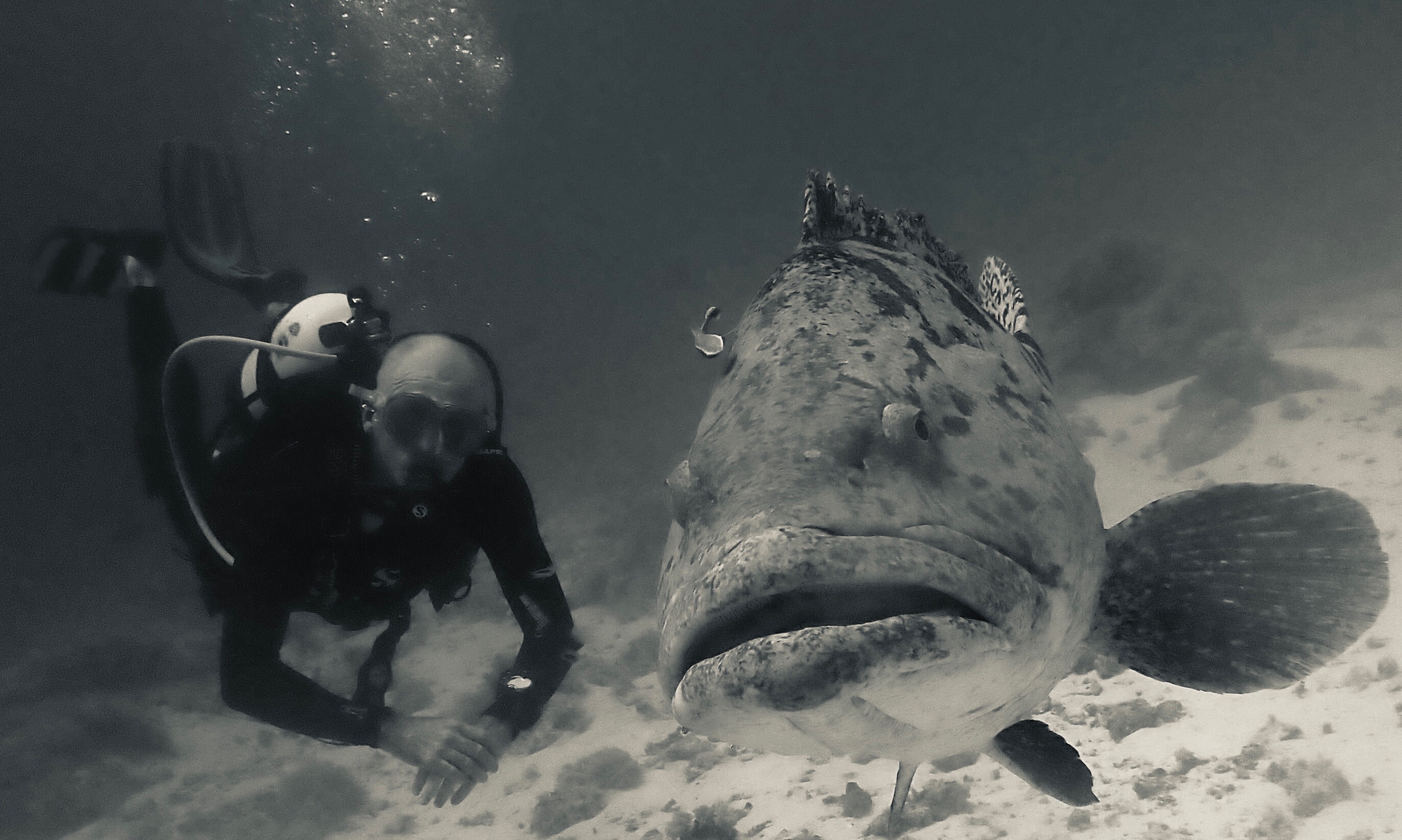 Lone Rangers on the Great Barrier Reef – Baggy Round the World